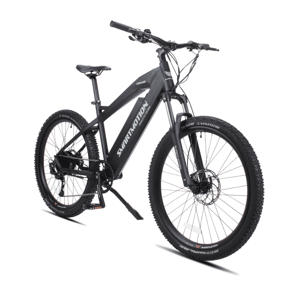 Smartmotion Catalyst 250W 48V – Smartmotion Electric Bikes
