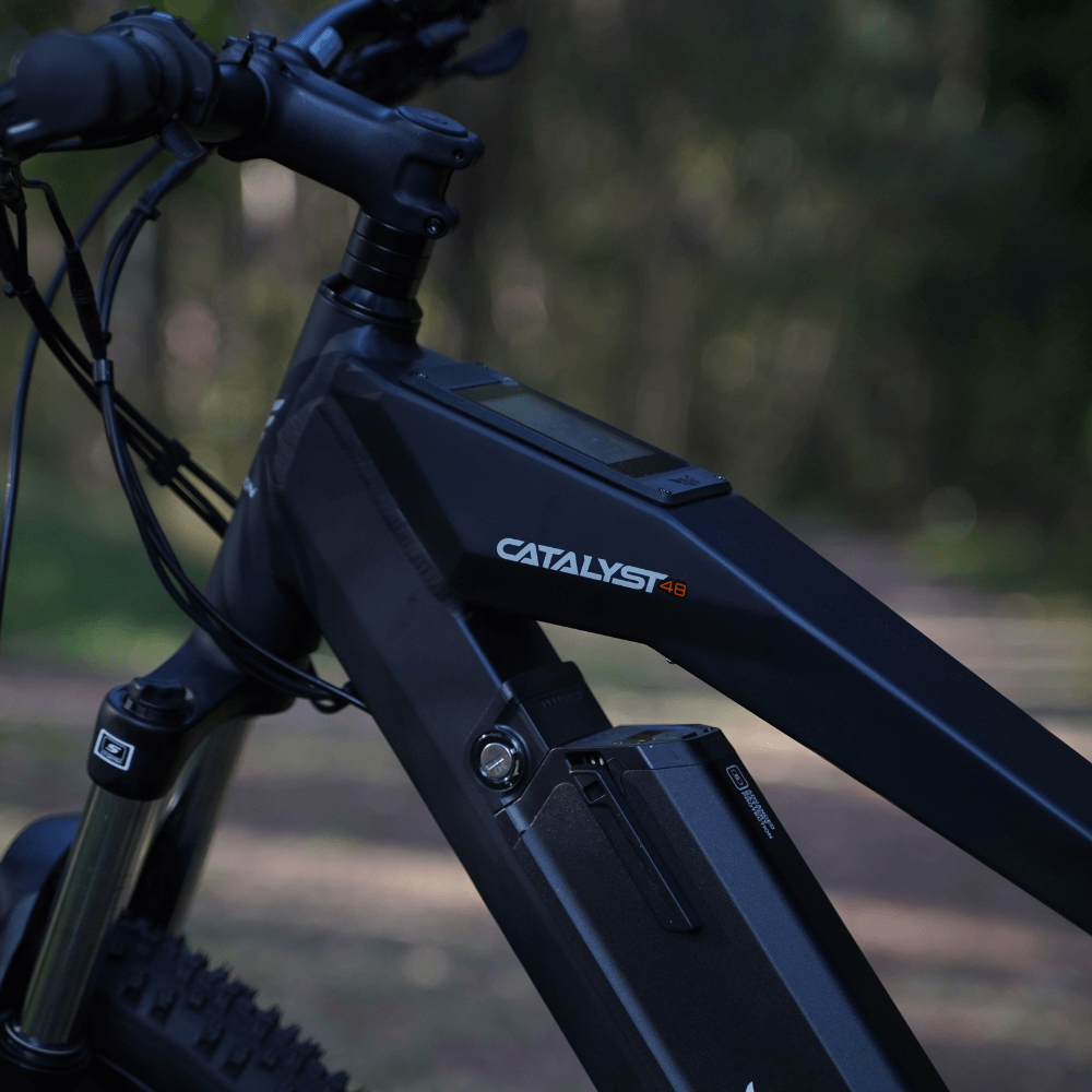 Smartmotion Catalyst 250W 48V – Smartmotion Electric Bikes